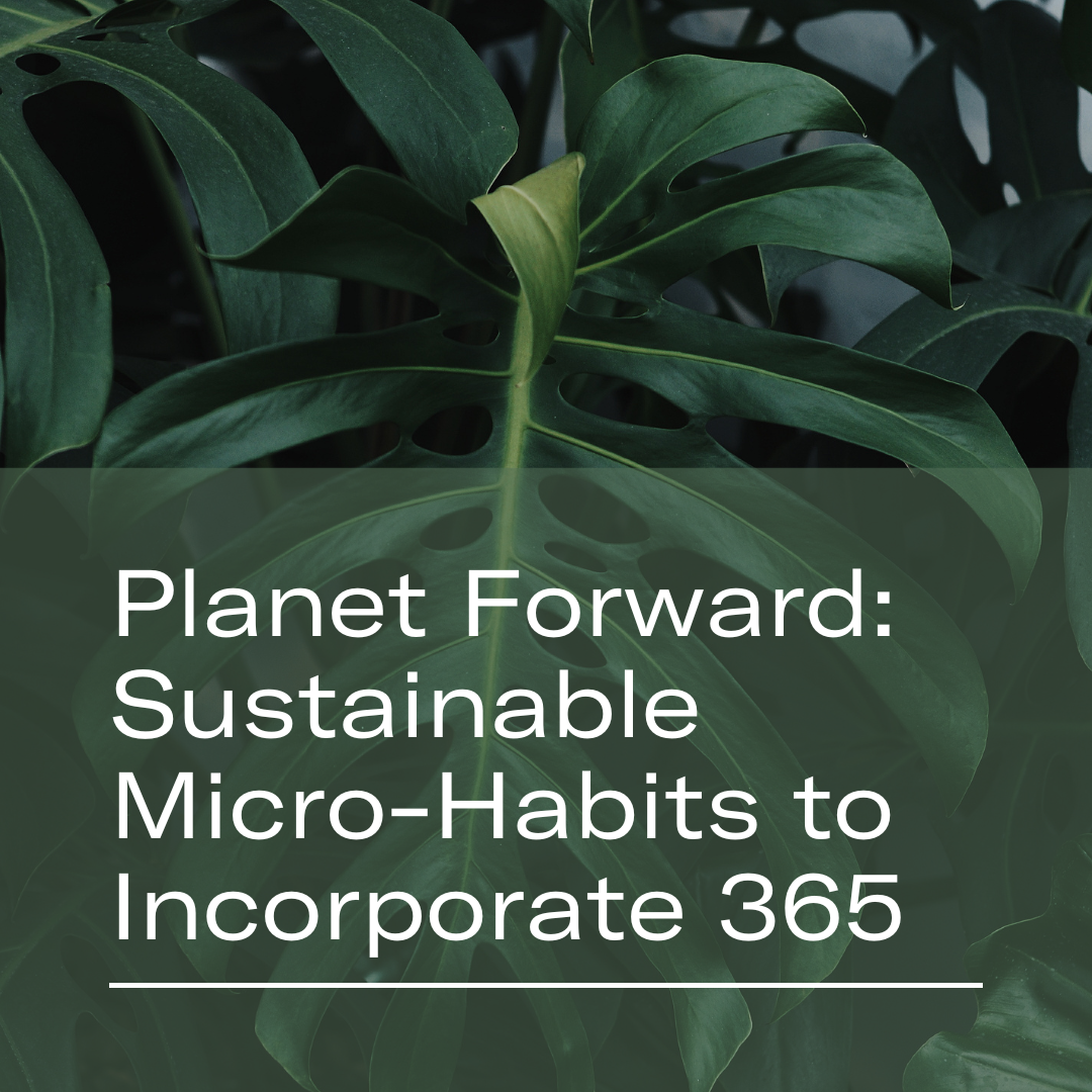 Planet Forward: Sustainable Micro-Habits to Incorporate 365 – Dehiya Beauty